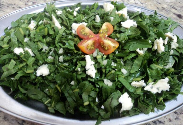 Catalonia Verdura: Aprenda como preparar - Receitas Rápidas e Fáceis